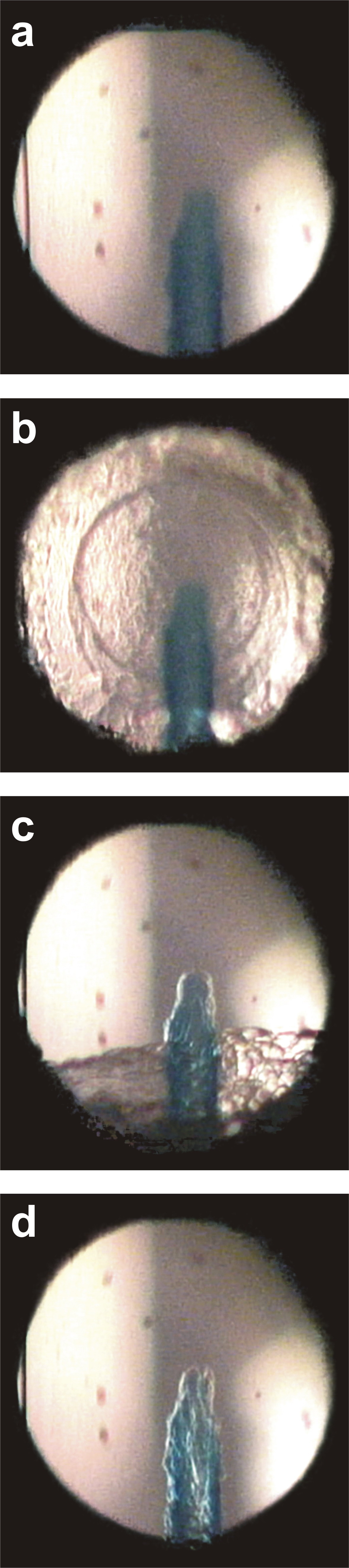Actualités - Université de Fribourg - Une nouvelle forme d’hélium solide