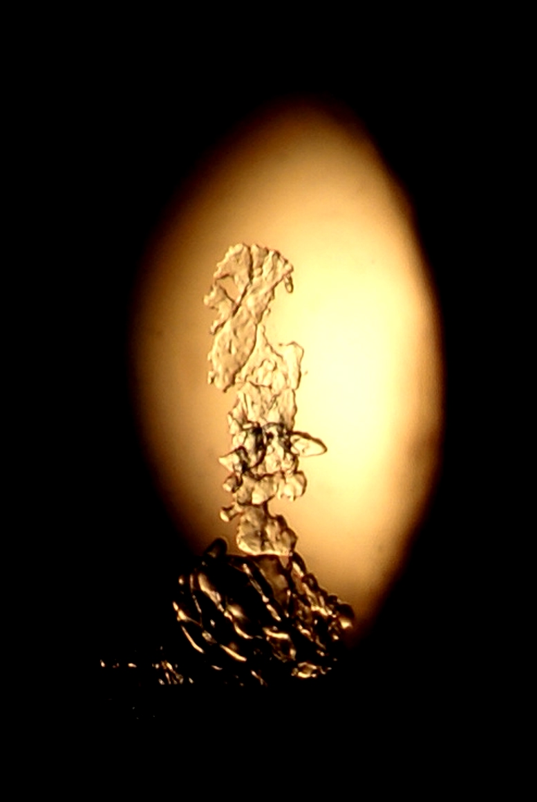 Actualités - Université de Fribourg - Une nouvelle forme d’hélium solide