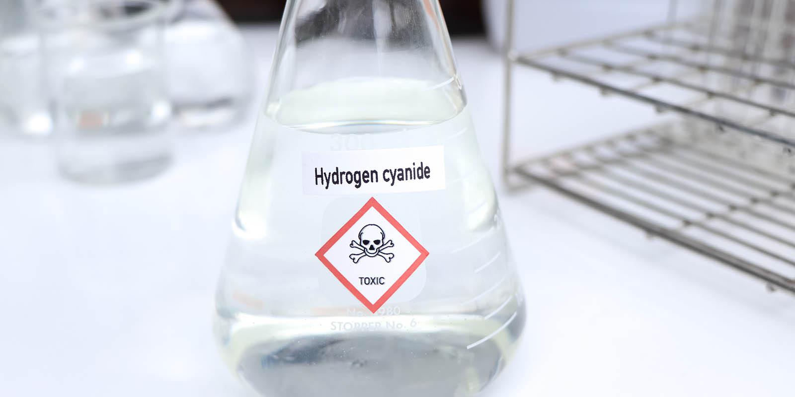 News - University of Fribourg - Cyanide: a toxic gas and indispensable ...