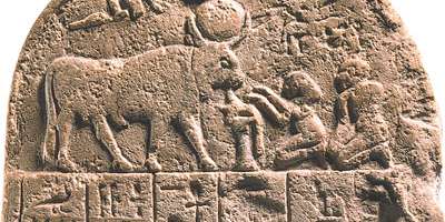 Pèlerinage et processions en l'honneur du taureau Apis - Actualités ...